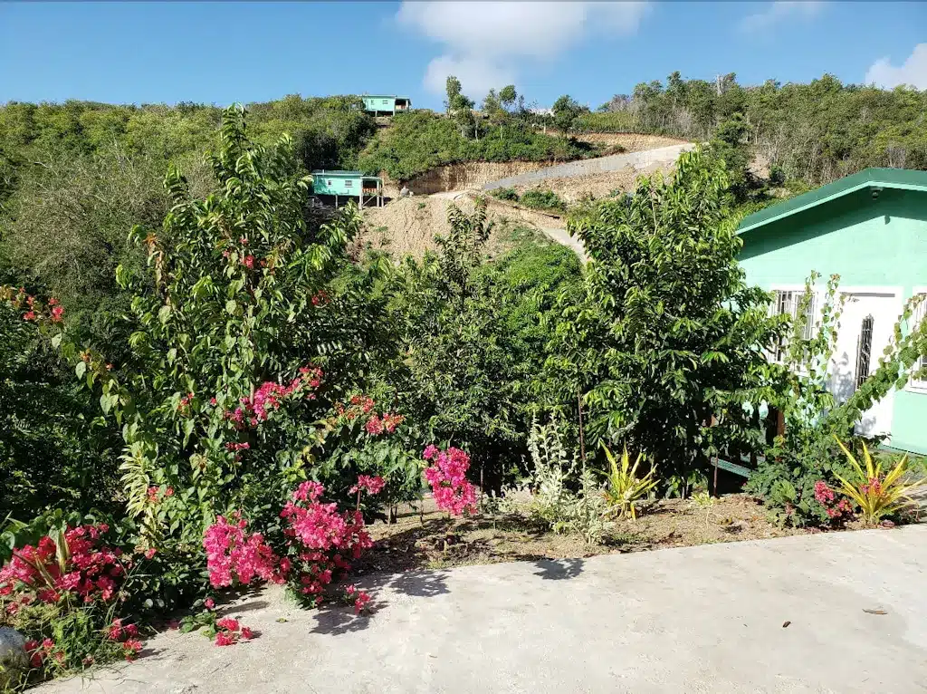 15 Key Benefits of Grenada Passport: Updated List of Pros & Cons in 2026